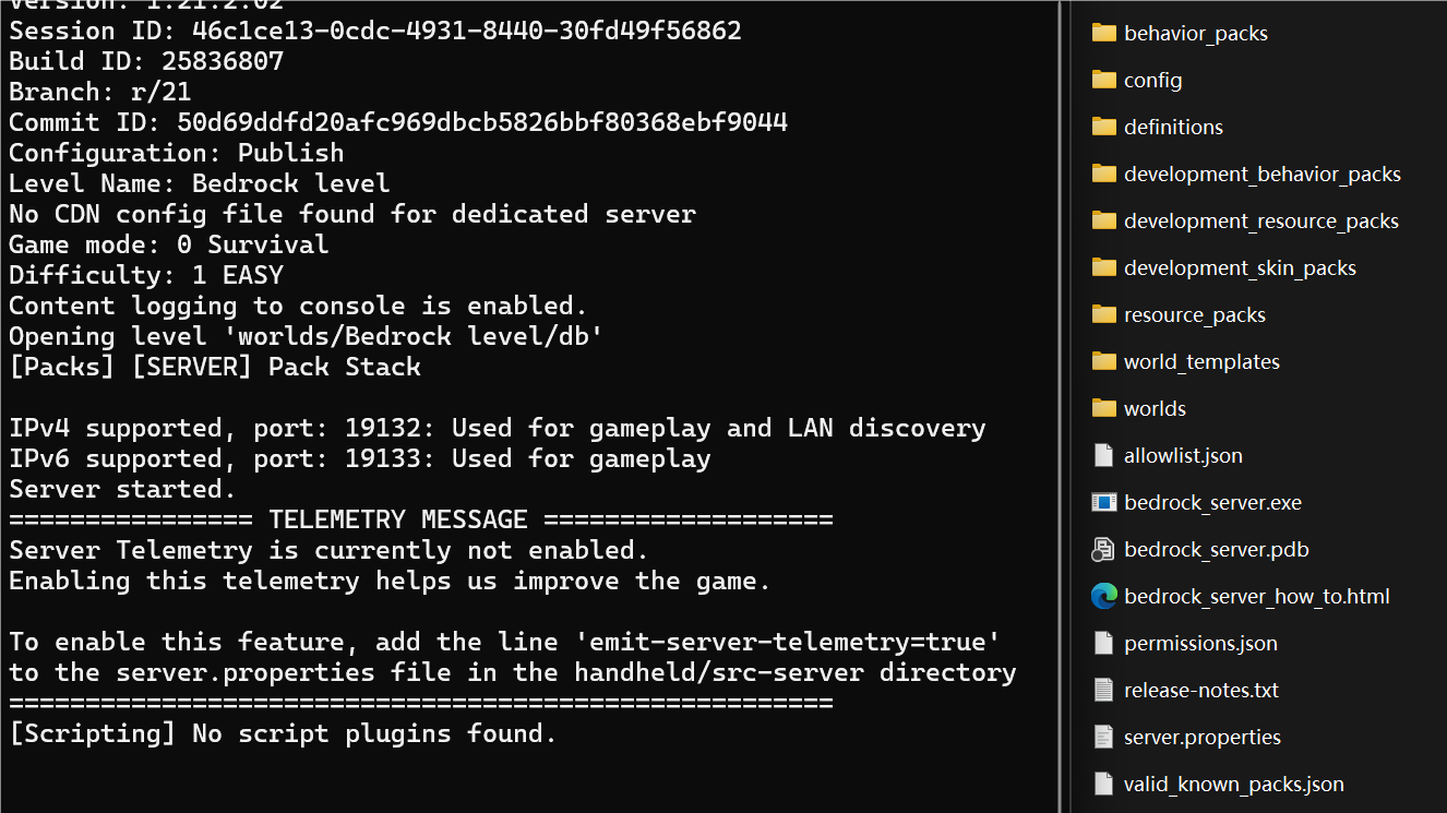 Windows系统Minecraft Bedrock服务器搭建 - RedDragon